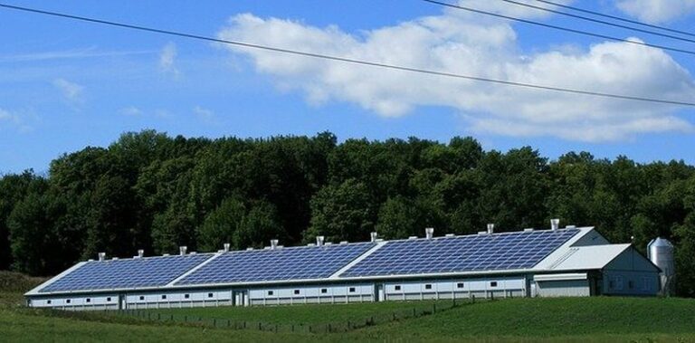 Kakšna je cena sončne elektrarne v Sloveniji – KD-Alpe.si